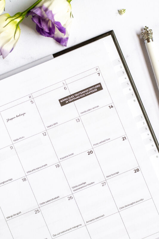 Tegude Kalender märkmik - spiraalköites My master plan 26/27 - SEIK