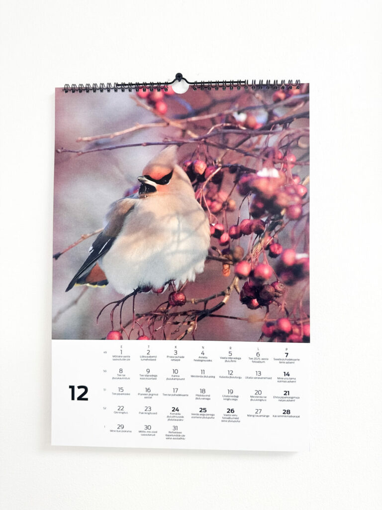 Tegude Kalender seinakalender 2026 - Loodus (A3) - SEIK